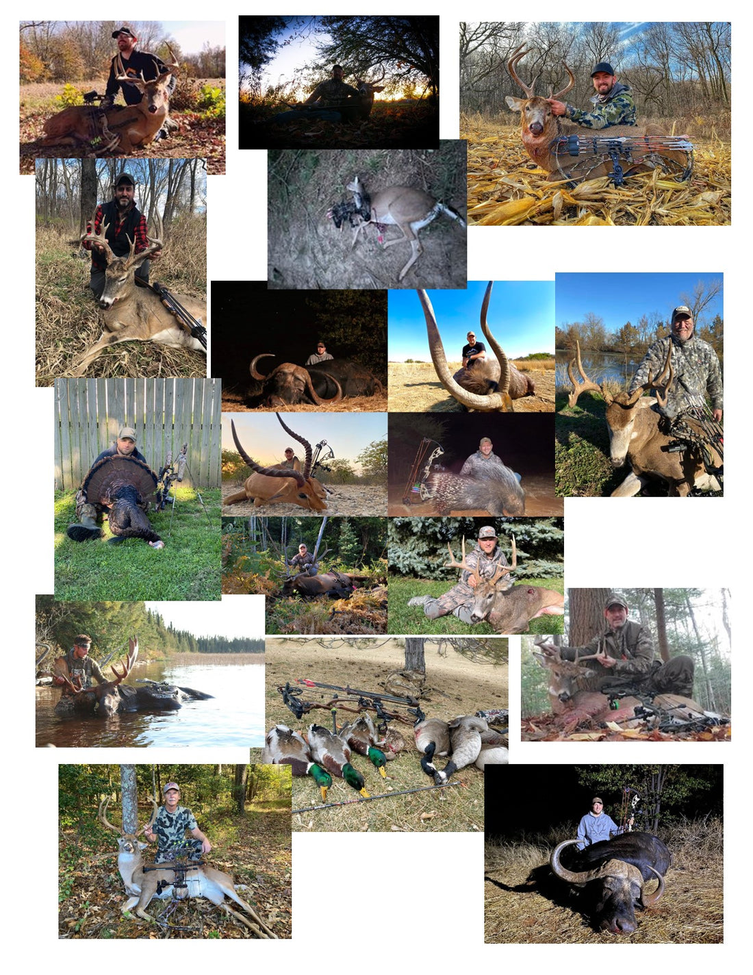 Field Point Size Reference